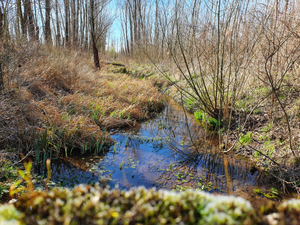 Founding partners - Salta Cluster