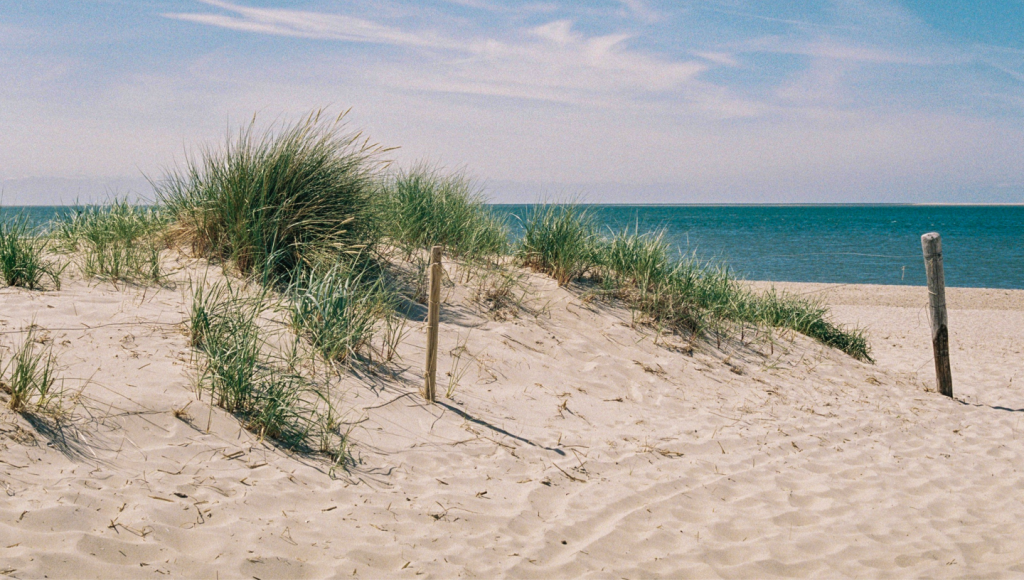 SALTA: Kenniscluster verzilting - Salta Cluster